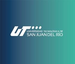 Un Experto a tu Alcance